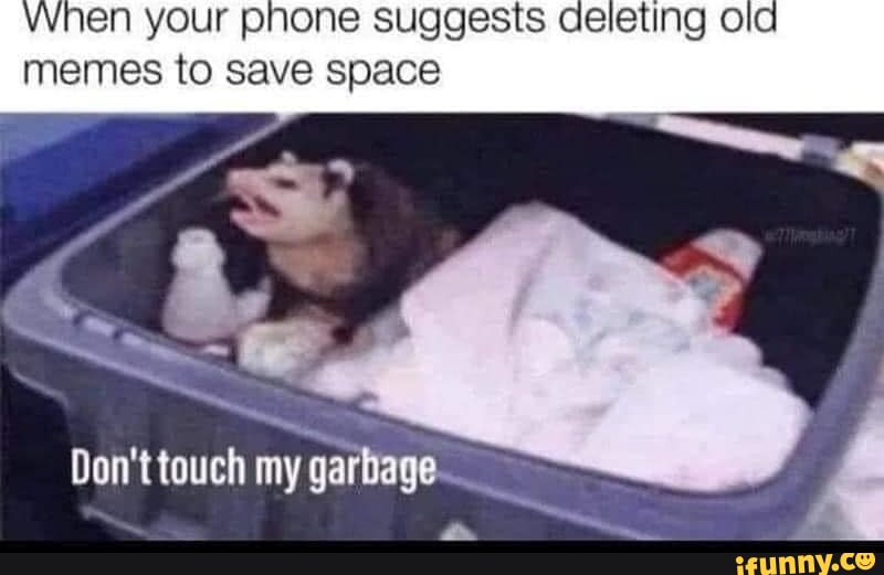 VVhen your phone suggests deleting ola memes to save space Don't touch ...
