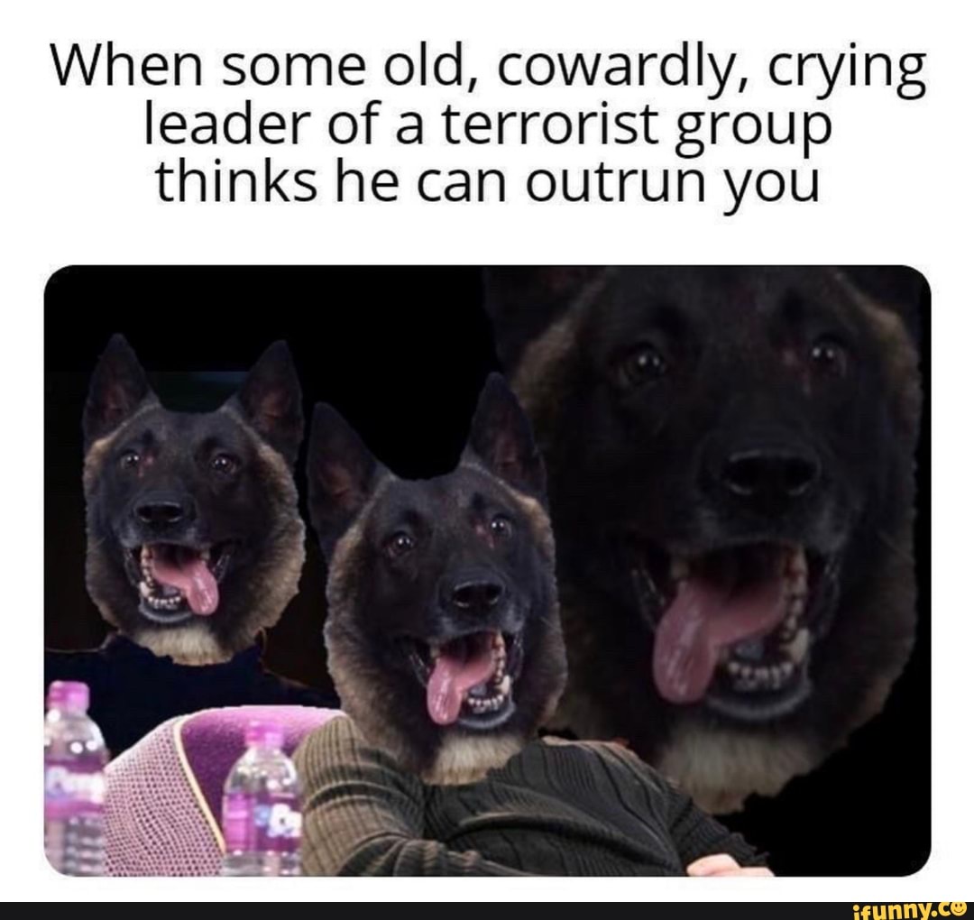 When some old, cowardly, crying leader of a terrorist group thinks he ...