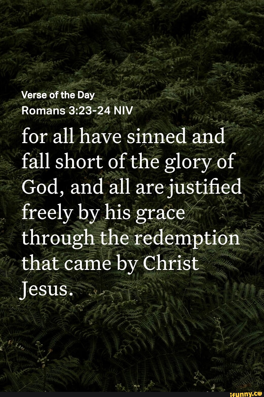 Verse of the Day Romans NIV for all have sinned and fall short of the ...