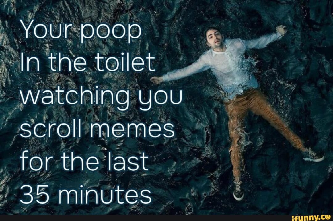 Your poop nt the toilet watching You scroll memes for the last 35 ...