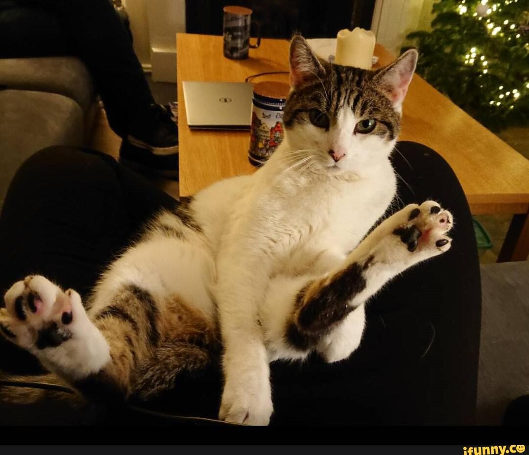 Fozzy memes. Best Collection of funny Fozzy pictures on iFunny