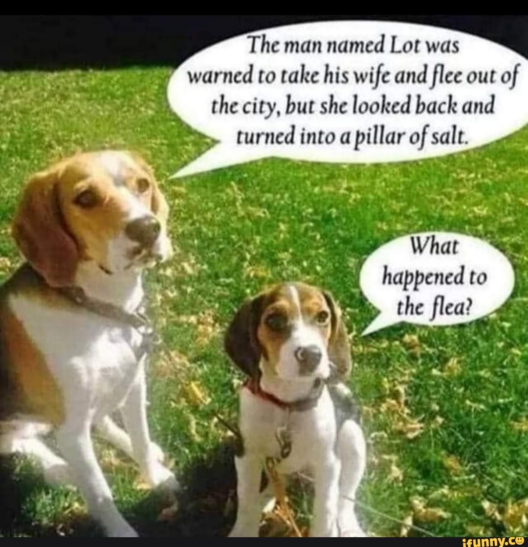 The man named Lot was warned to take his wife and flee out of the city ...