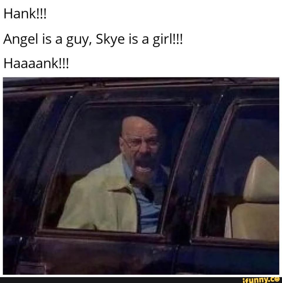 Hank!!! Angel is a guy, Skye is a girl!!! Haaaank!!! - iFunny