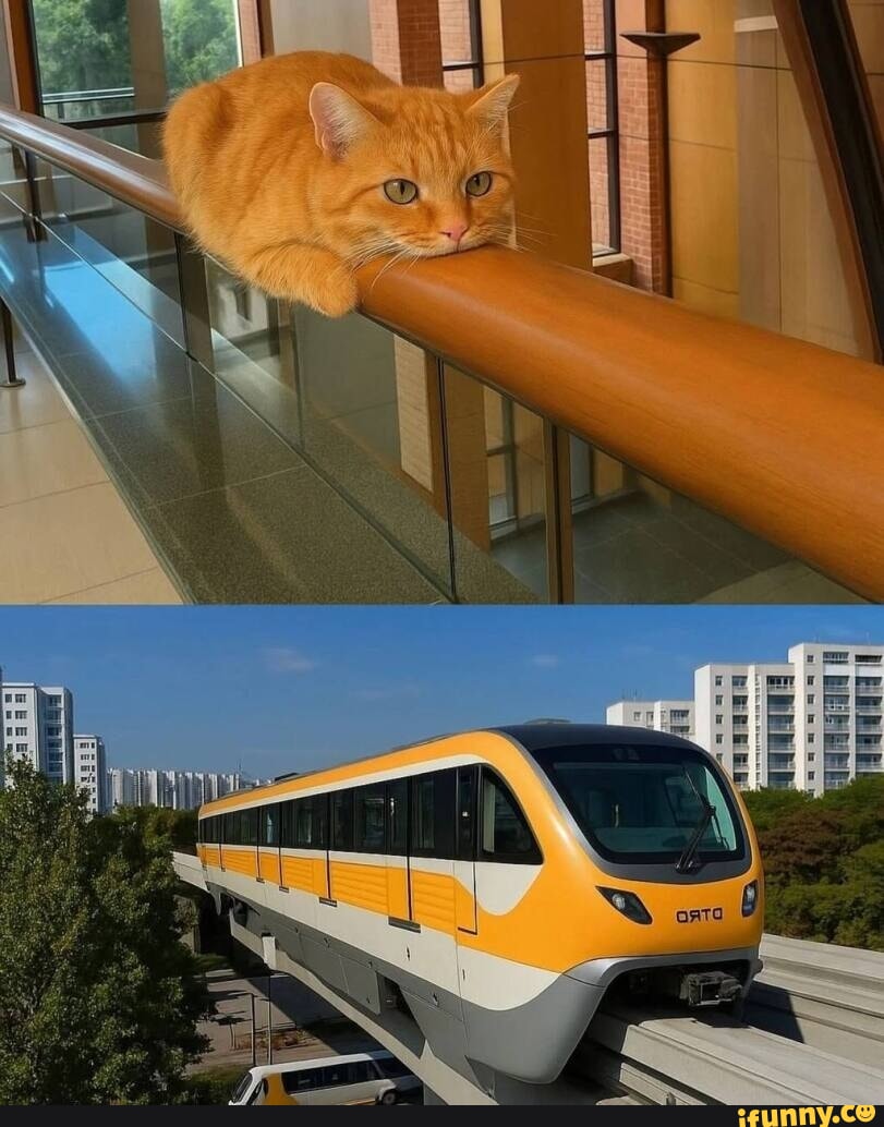 Monorail memes. Best Collection of funny Monorail pictures on iFunny