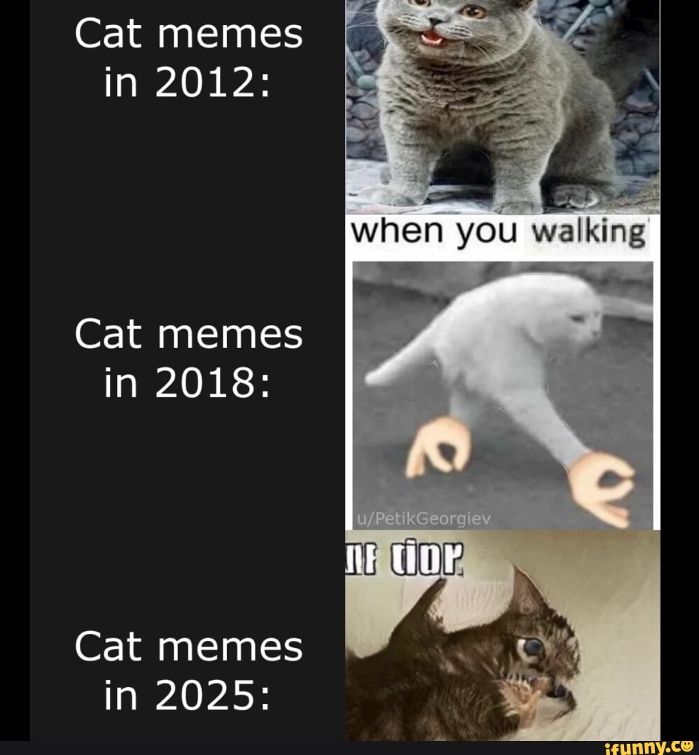Cat memes in 2012: when you walking Cat memes in 2018: Cat memes in ...