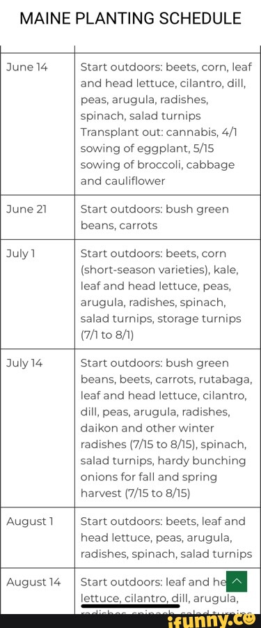 Cilantro memes. Best Collection of funny Cilantro pictures on iFunny