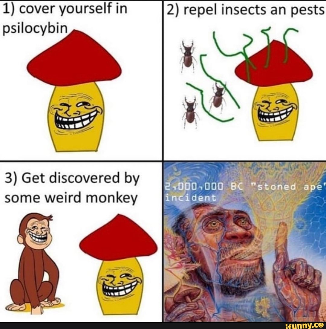 Stoneo memes. Best Collection of funny Stoneo pictures on iFunny