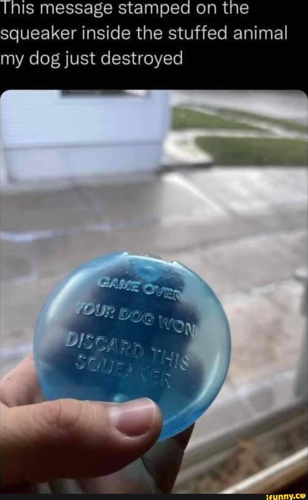 Squeaker memes. Best Collection of funny Squeaker pictures on iFunny