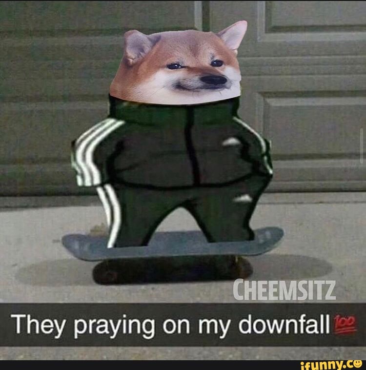 Cheemsitz on Instagram - They praying on my downfall - iFunny