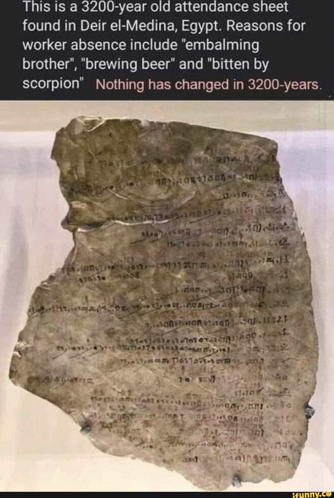 Embalming memes. Best Collection of funny Embalming pictures on iFunny