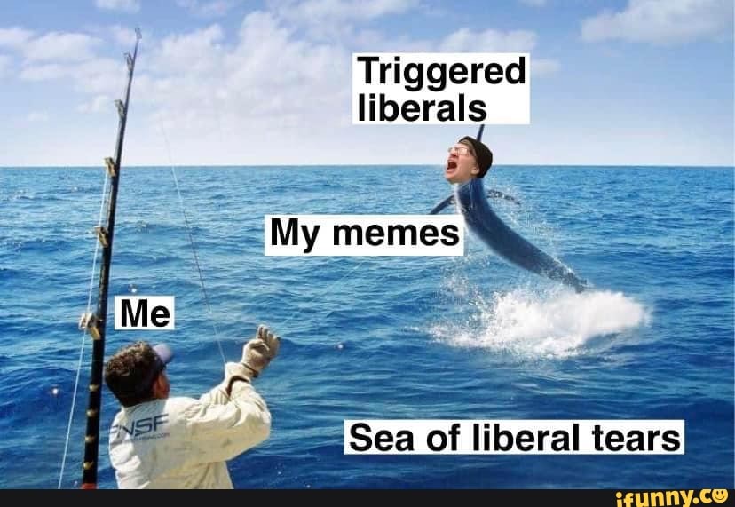 Triggered liberals Sea of liberal tears - iFunny