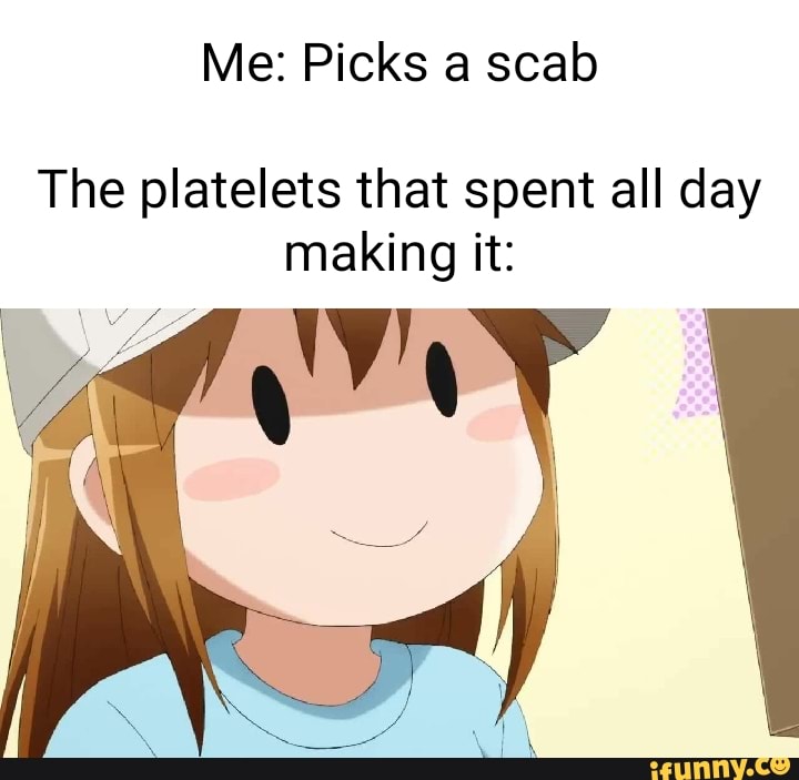 Me: Picks a scab The platelets that spent all day making it: - iFunny