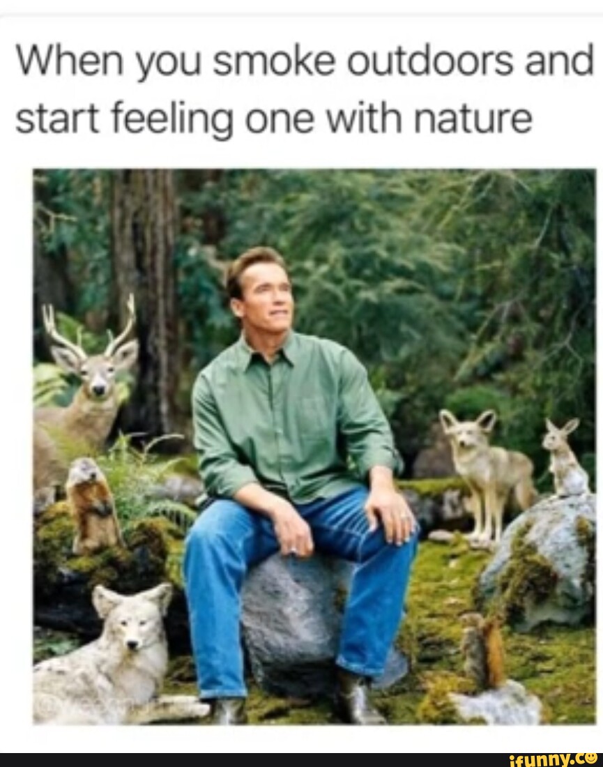 420 memes. Best Collection of funny 420 pictures on iFunny