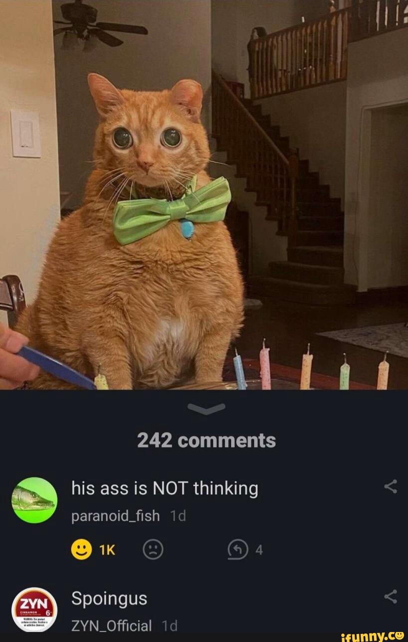 Spoingus memes. Best Collection of funny Spoingus pictures on iFunny