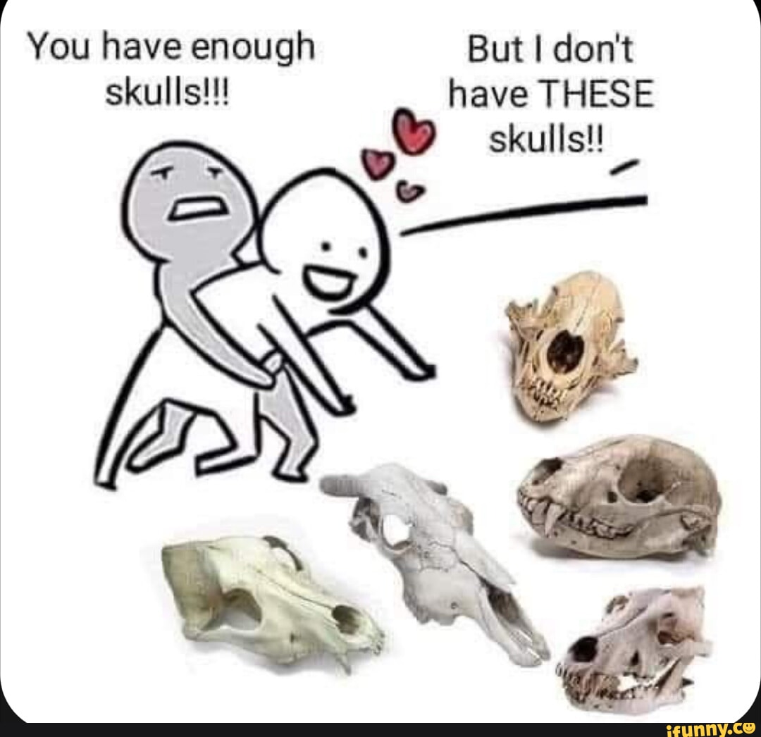 Skulls memes. Best Collection of funny Skulls pictures on iFunny