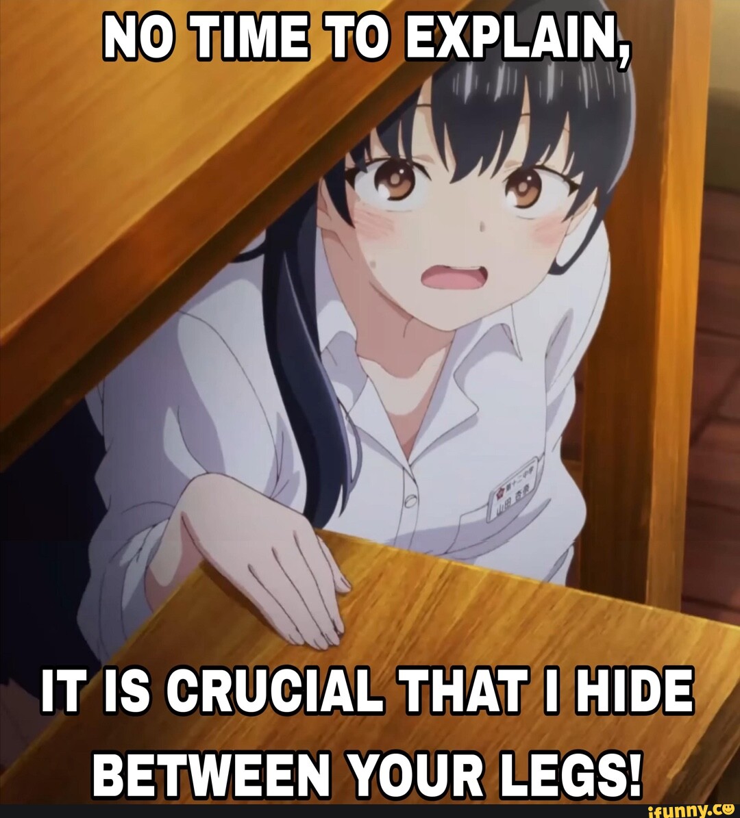 NO TIME TO EXPLAIN, IT IS CRUCIAL THAT I HIDE BETWEEN YOUR LEGS! - iFunny