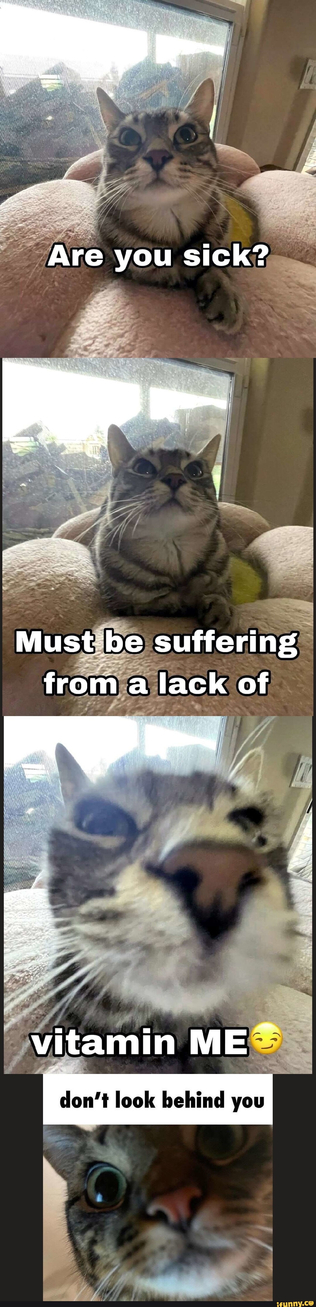 You Have A Lack Of Me Meme