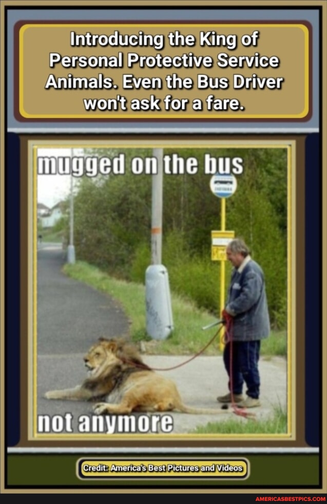 Public Transit memes memes. The best memes on America’s best pics and ...
