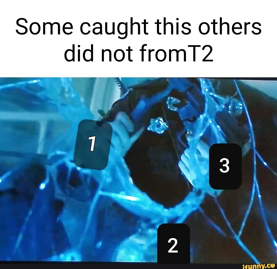 T2 memes. Best Collection of funny T2 pictures on iFunny