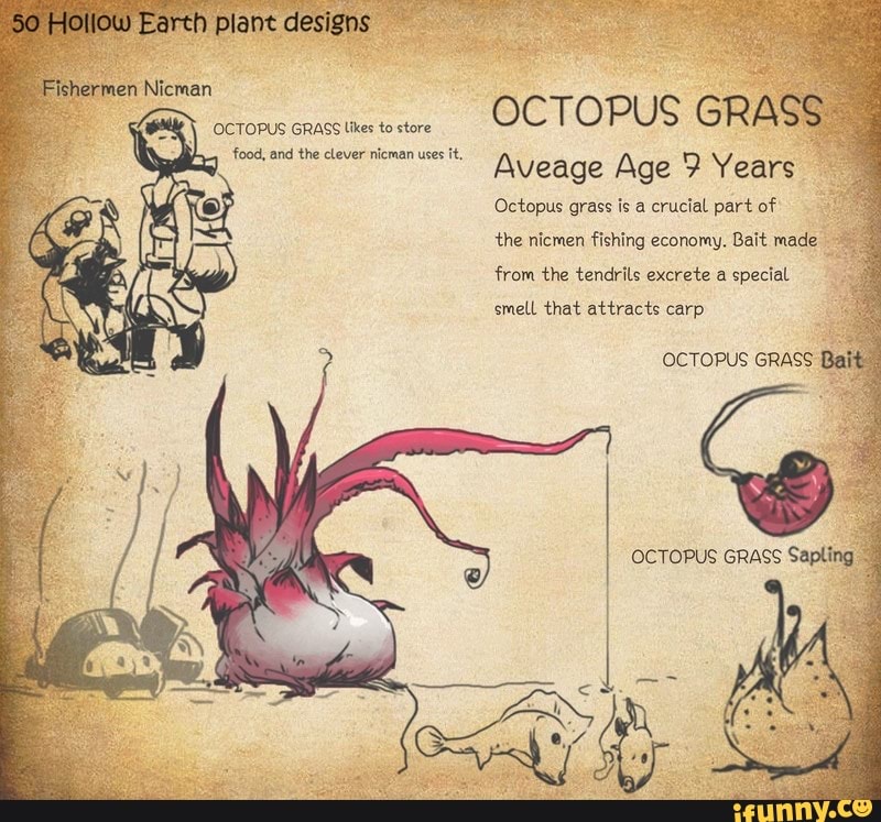 50 Hollow Earth plant designs OCTOPUS GRASS likes to store OCTOPUS ...
