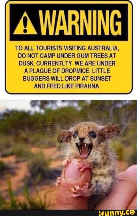 Video memes eUAGqQA8B by Subjugate: 8 comments - iFunny