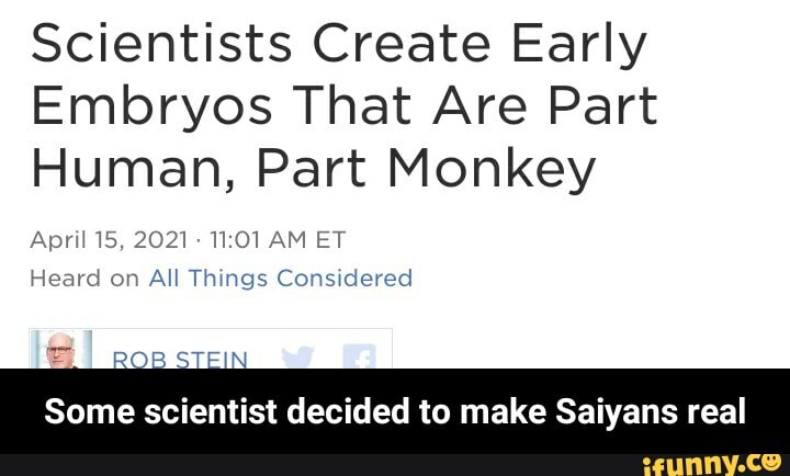 Scientists Create Early Embryos That Are Part Human, Part Monkey April ...