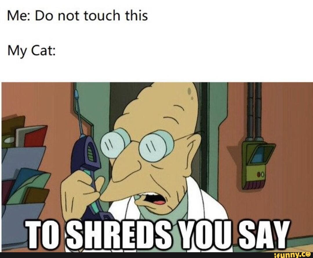 Cat memes, Comics, and Cuties (Part 9) - Me: Do not touch this My Cat ...
