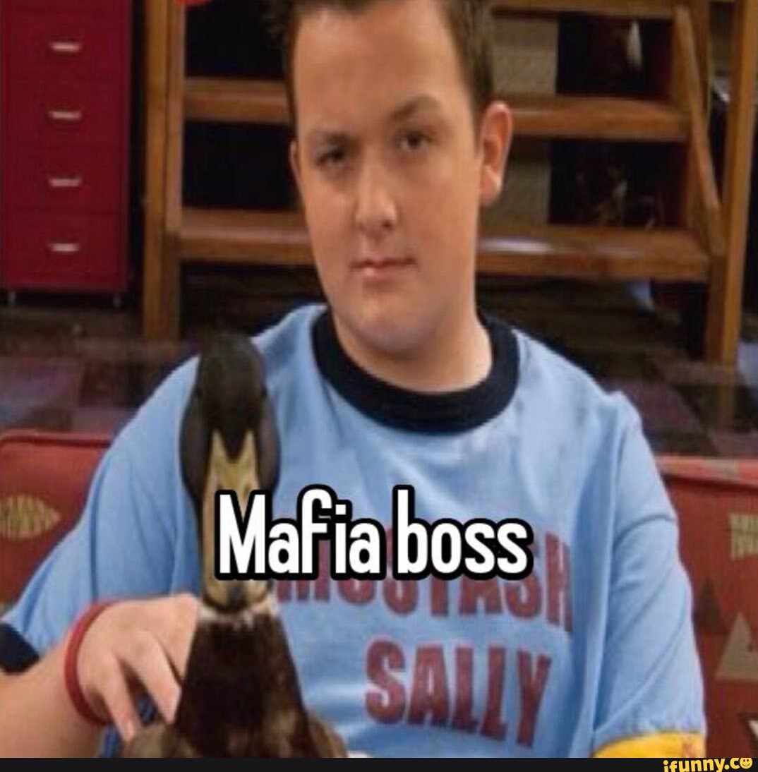 Cat memes. Best Collection of funny Cat pictures on iFunny