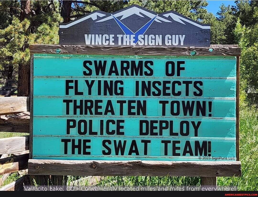 ~SWARMS OF FLYING INSECTS _ THREATEN TOWN! POLICE DEPLOY _THE SWAT TEAM ...