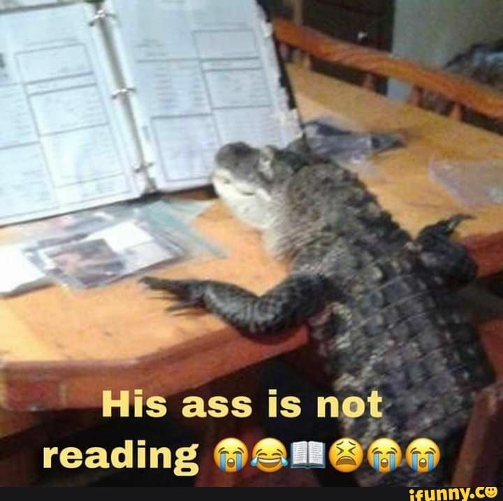 Not Reading Meme