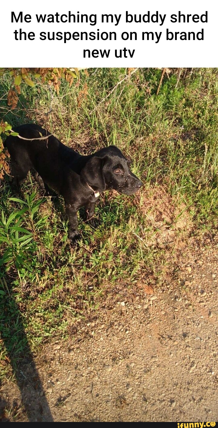 Utv memes. Best Collection of funny Utv pictures on iFunny