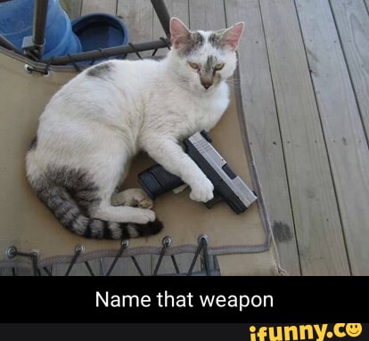Name that weapon - iFunny
