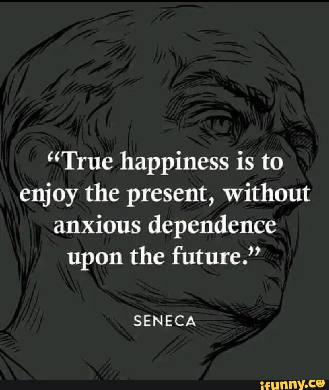 Seneca Memes Seneca Homework Meme | TikTok