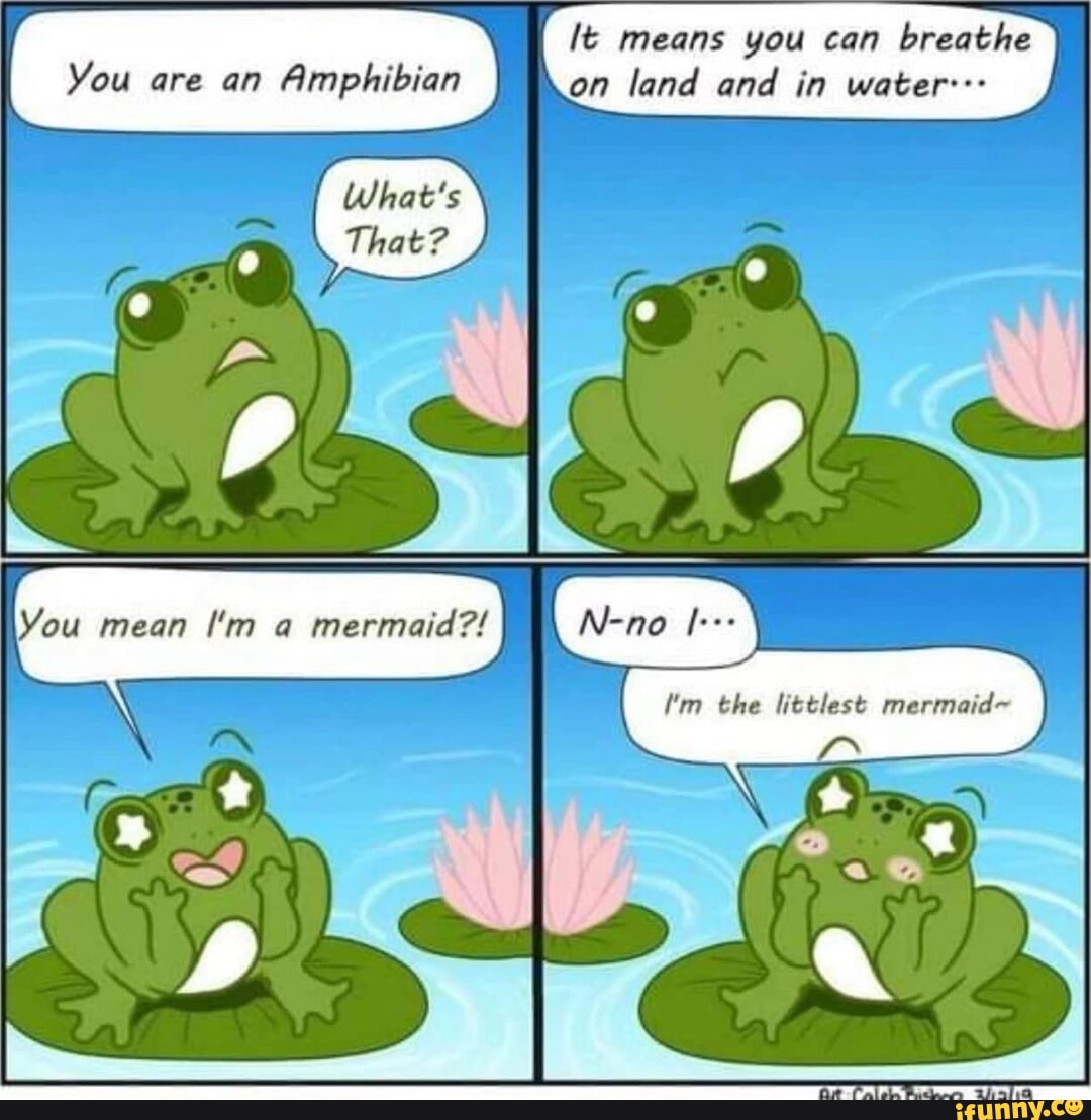 Phrog memes. Best Collection of funny Phrog pictures on iFunny