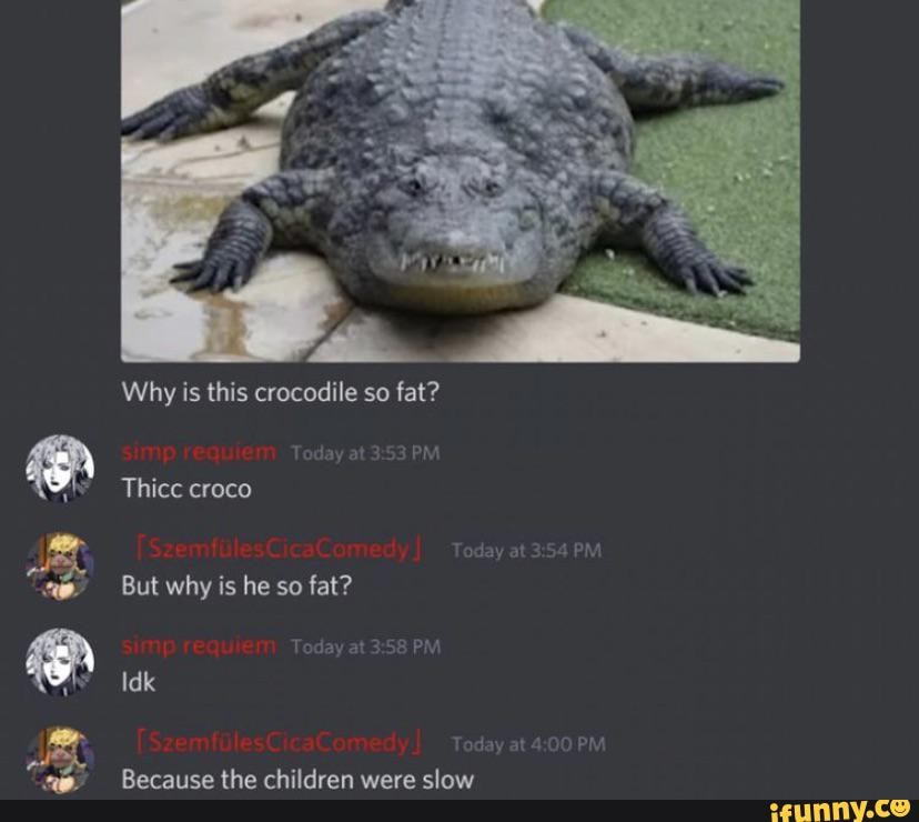 Os Why is this crocodile so fat? Simprequiem ay at PM Thicc croco ...
