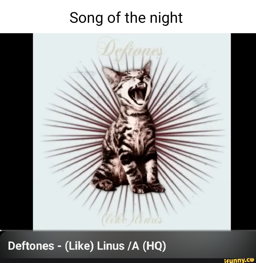 Linus memes. Best Collection of funny Linus pictures on iFunny