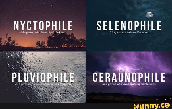 Ceraunophile memes. Best Collection of funny Ceraunophile pictures on ...