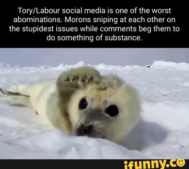 Seals memes. Best Collection of funny Seals pictures on iFunny