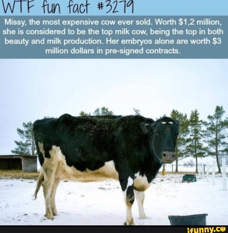 Embryos memes. Best Collection of funny Embryos pictures on iFunny