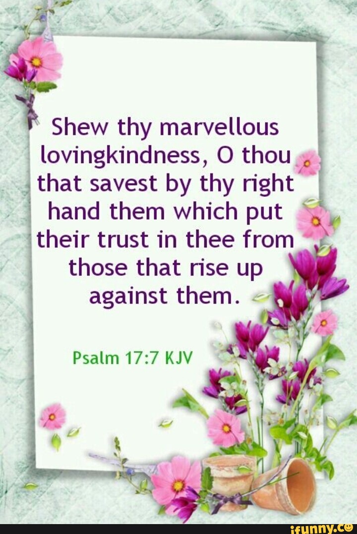 Shew memes. Best Collection of funny Shew pictures on iFunny