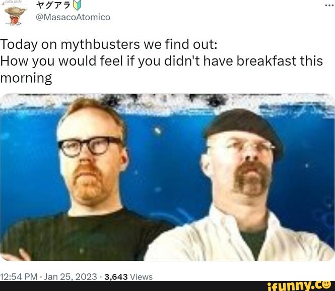 MythBusters memes memes. The best memes on iFunny
