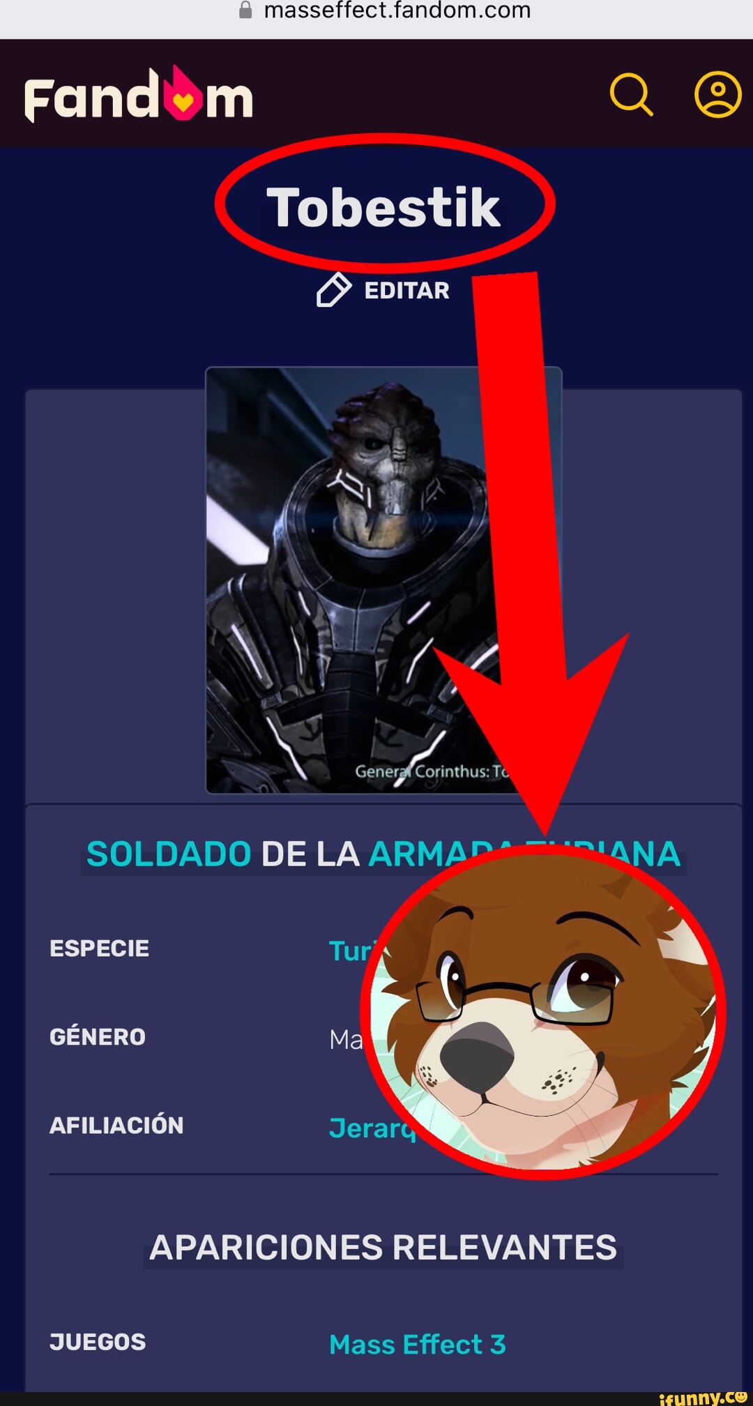 Memes De Genero