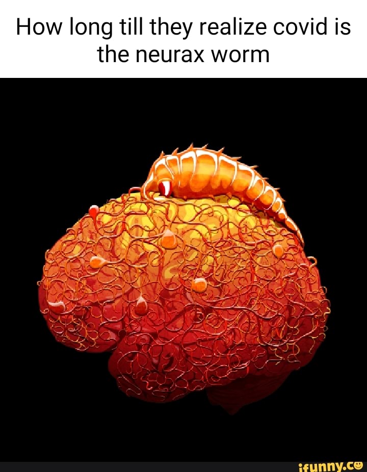 Neurax memes. Best Collection of funny Neurax pictures on iFunny