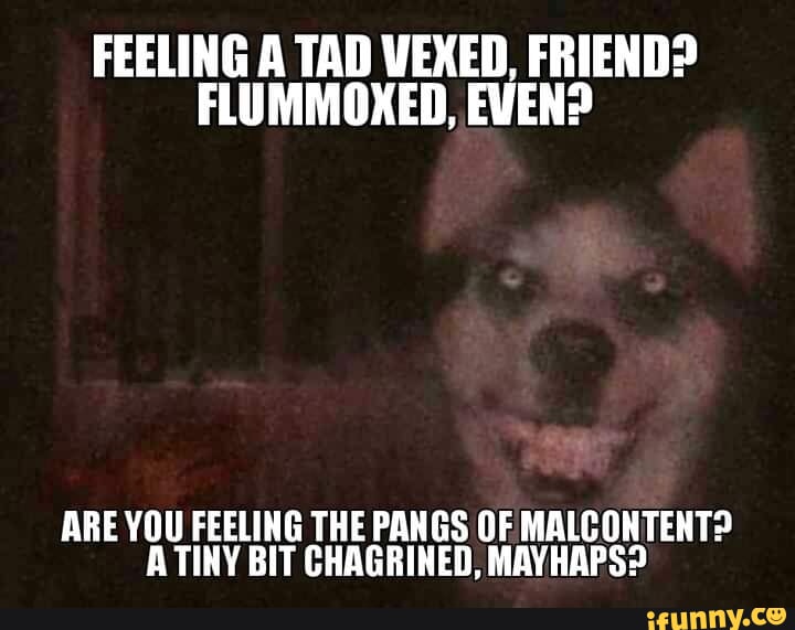 Chagrined memes. Best Collection of funny Chagrined pictures on iFunny