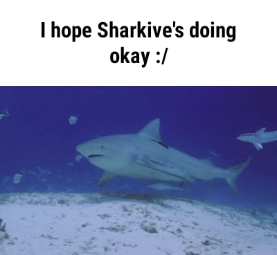 Shark Tears Meme