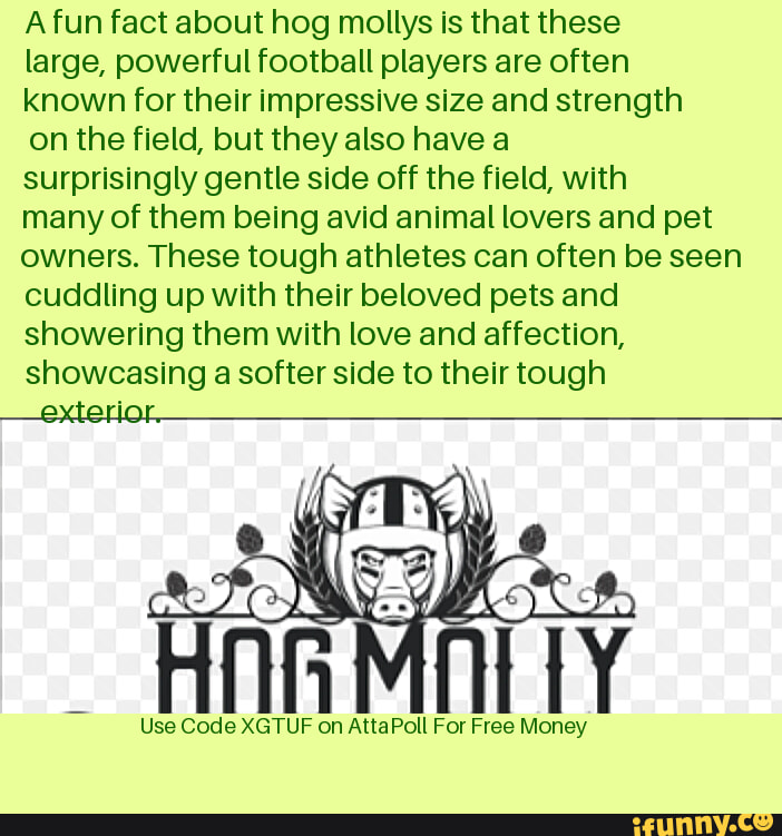 A fun fact about hog mollys is that these large, powerful football ...