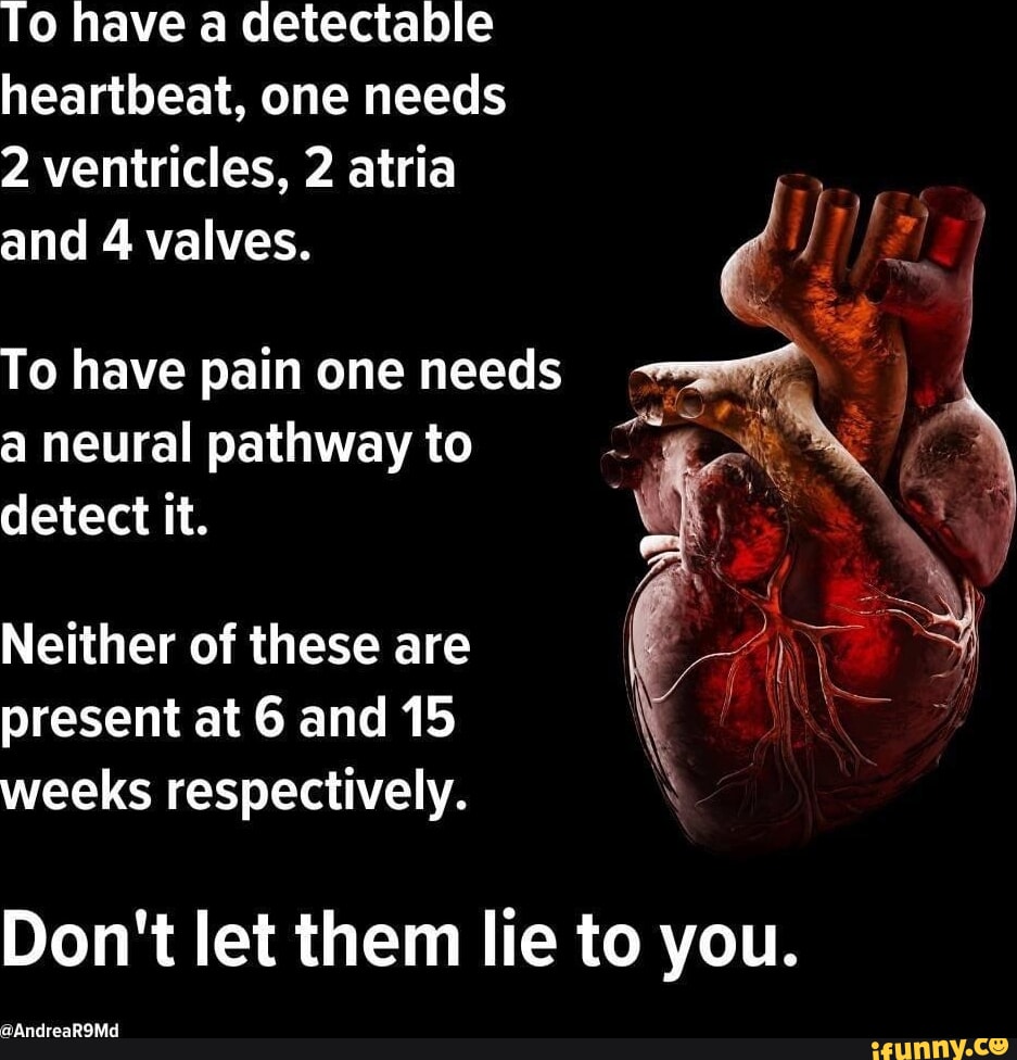 Valves memes. Best Collection of funny Valves pictures on iFunny