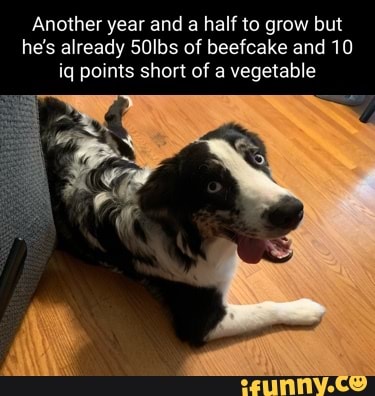 Beefcake memes. Best Collection of funny Beefcake pictures on iFunny