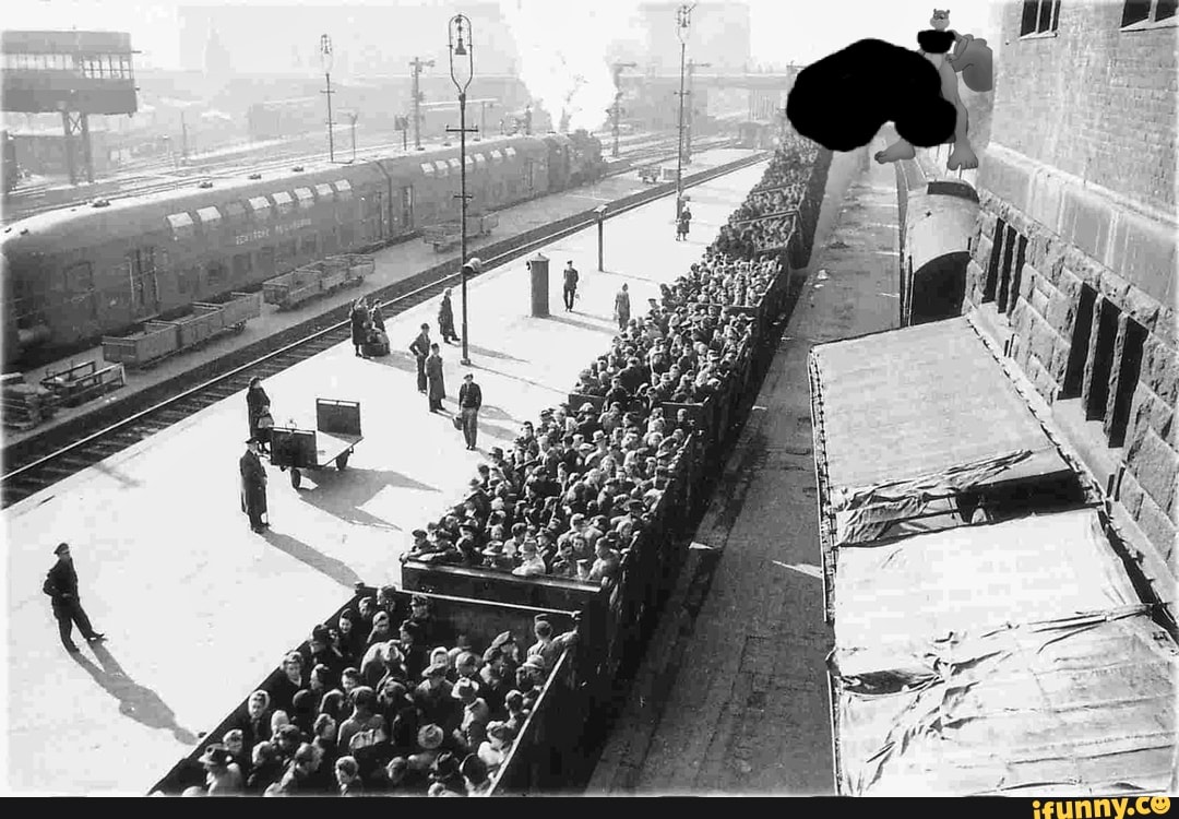 R63 memes. Best Collection of funny R63 pictures on iFunny