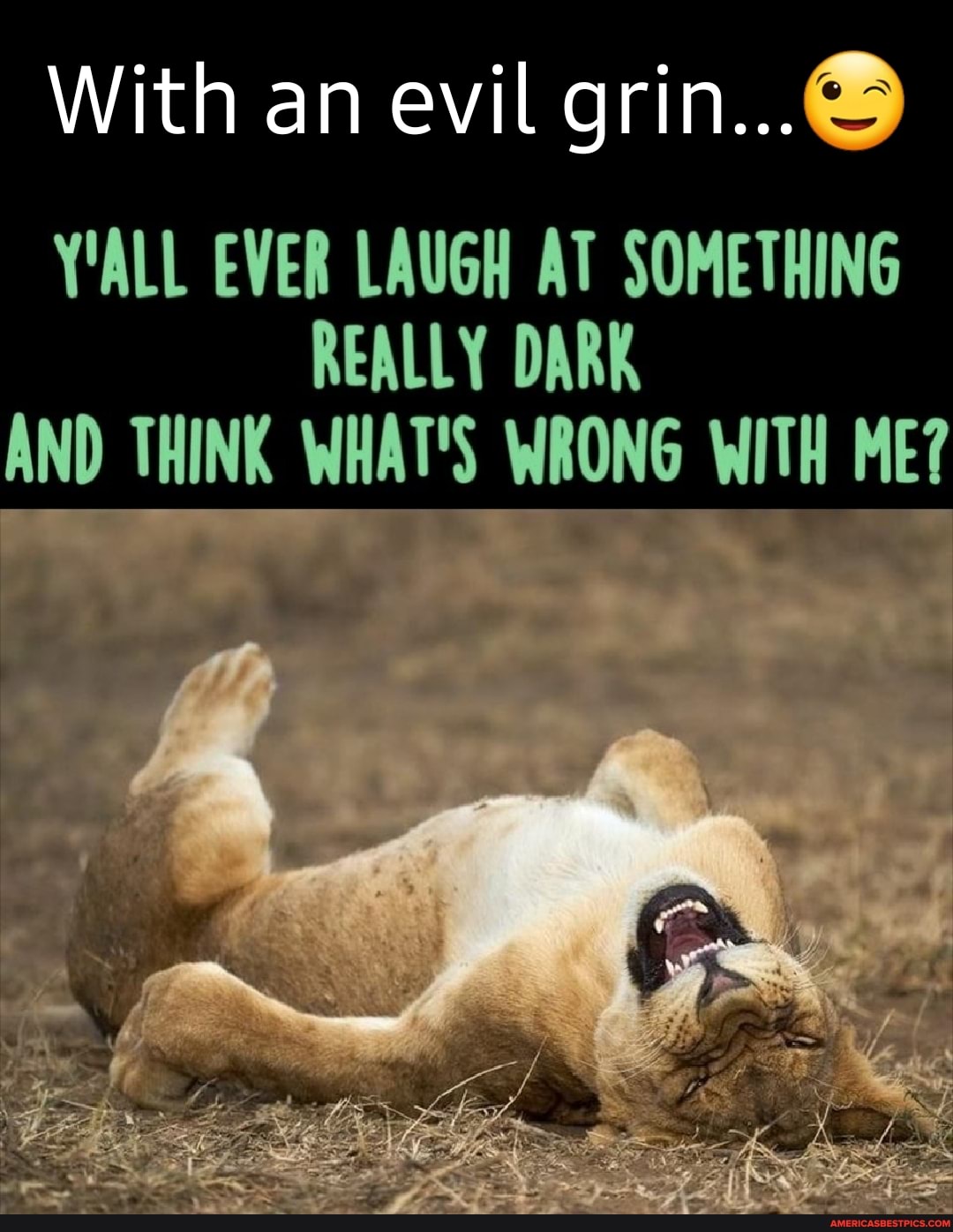 With an evil grin...@ Y'ALL EVER LAUGH AT SOMETHING REALLY DARK AND ...